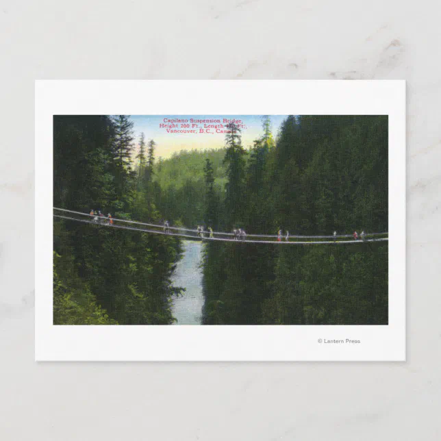 View of Capilano Suspension Bridge Postcard | Zazzle