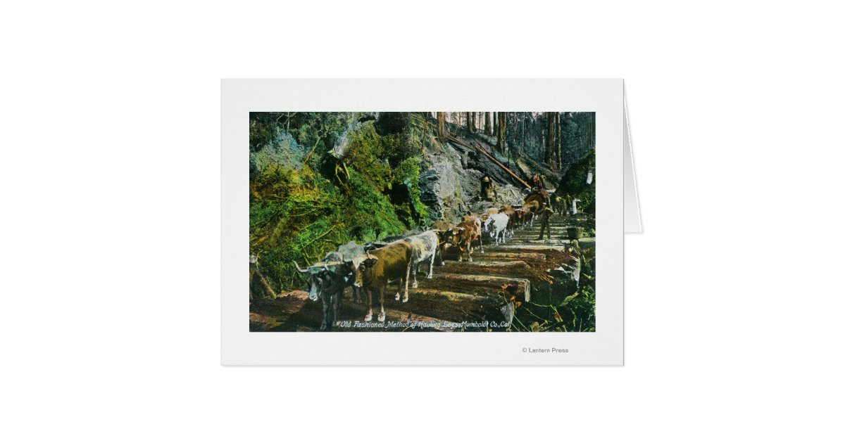 View of Ox-Teams Hauling Logs | Zazzle