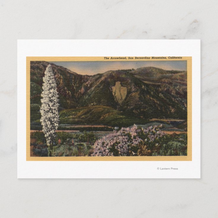 View of the Arrowhead - San Bernardino Mts., CA Postcard | Zazzle