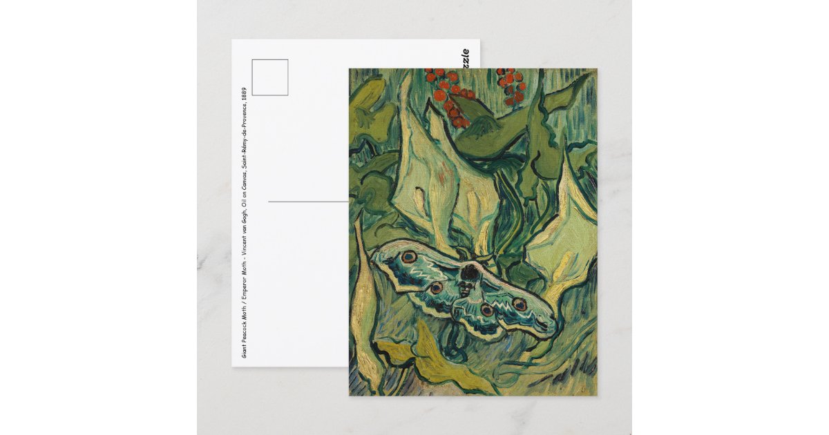 Vincent van Gogh - Giant Peacock Moth Postcard | Zazzle