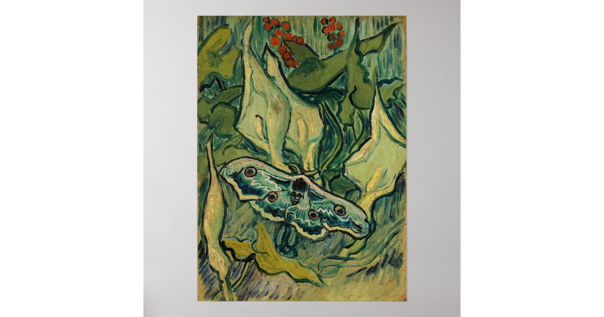 Vincent van Gogh - Giant Peacock Moth Poster | Zazzle