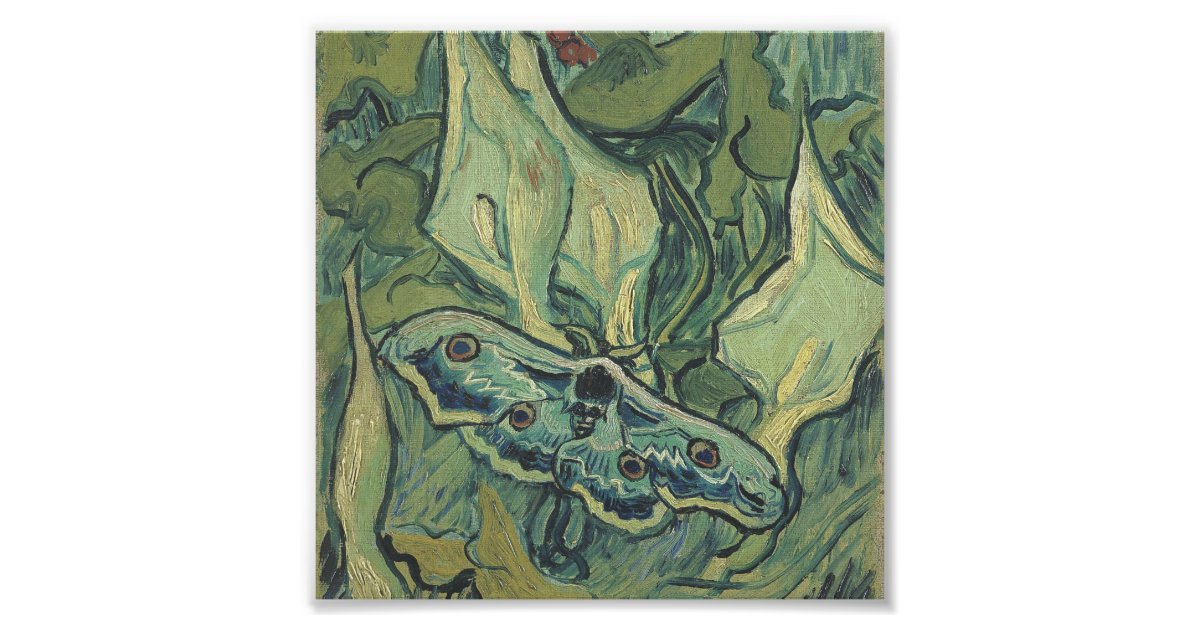 Vincent Van Gogh - Great Peacock Moth Photo Print | Zazzle