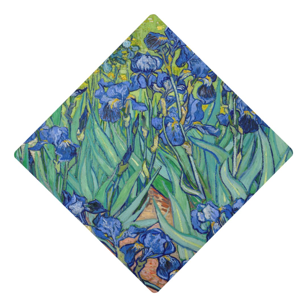 Vincent Van Gogh - Irises Graduation Cap Topper | Zazzle