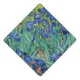 Vincent Van Gogh - Irises Graduation Cap Topper | Zazzle