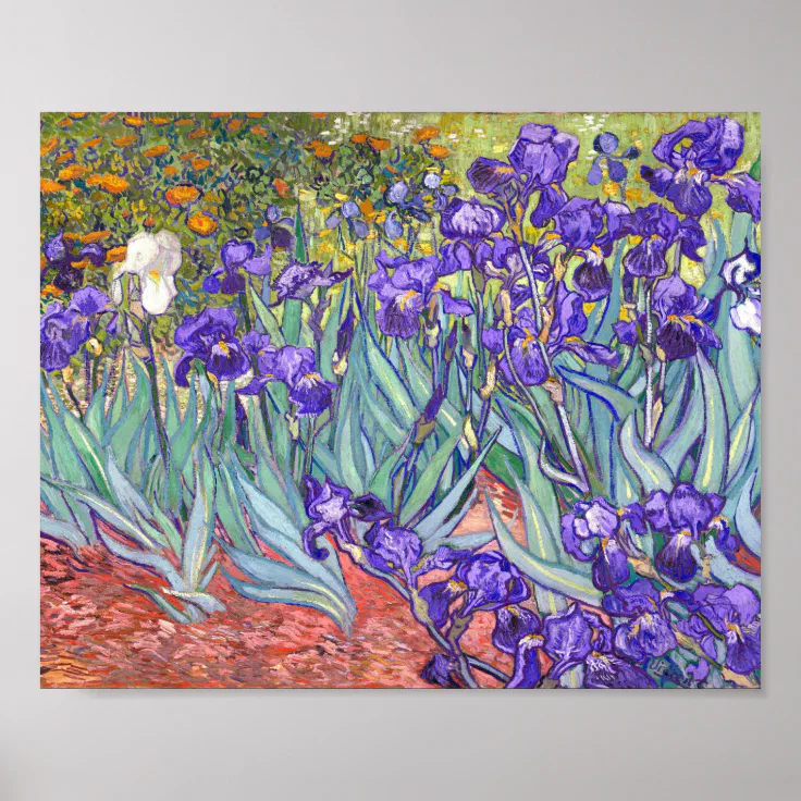 Vincent Van Gogh Purple Irises Fine Art Poster | Zazzle