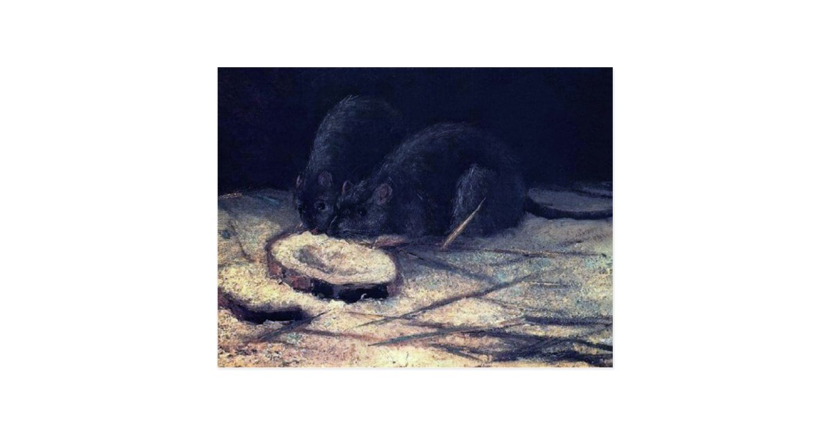 Vincent Van Gogh - Two Rats - Rat Lover Fine Art Postcard | Zazzle.com