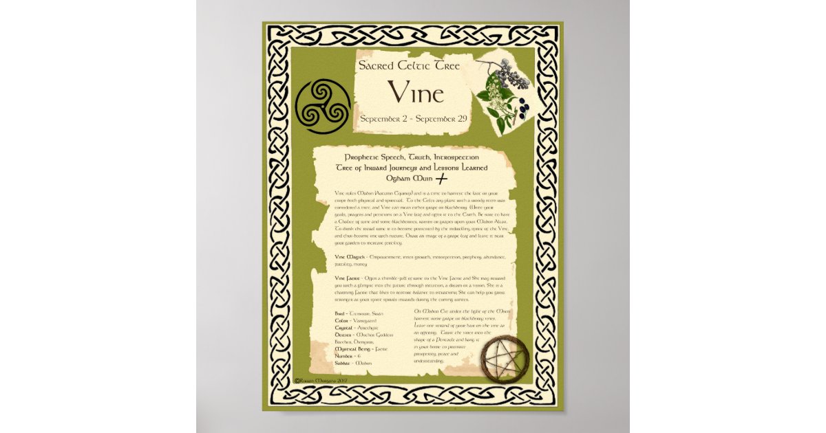 VINE CELTIC SACRED TREE POSTER | Zazzle