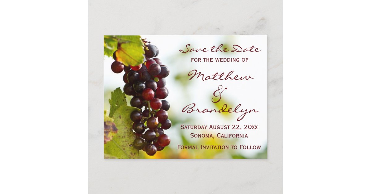 Vineyard Winery Grapes Save the Date Postcards | Zazzle