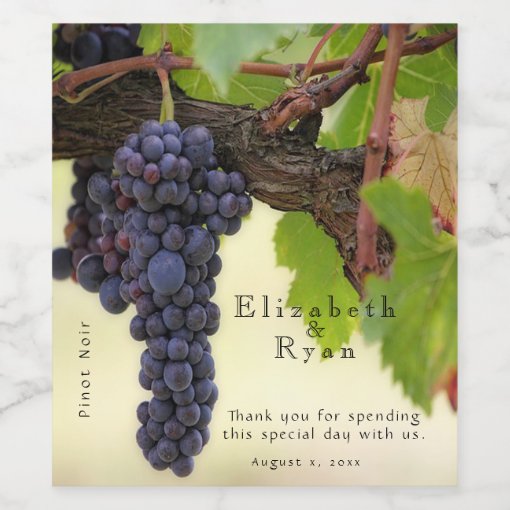 Vineyard, Winery, Purple Grapes Custom Wine Label | Zazzle