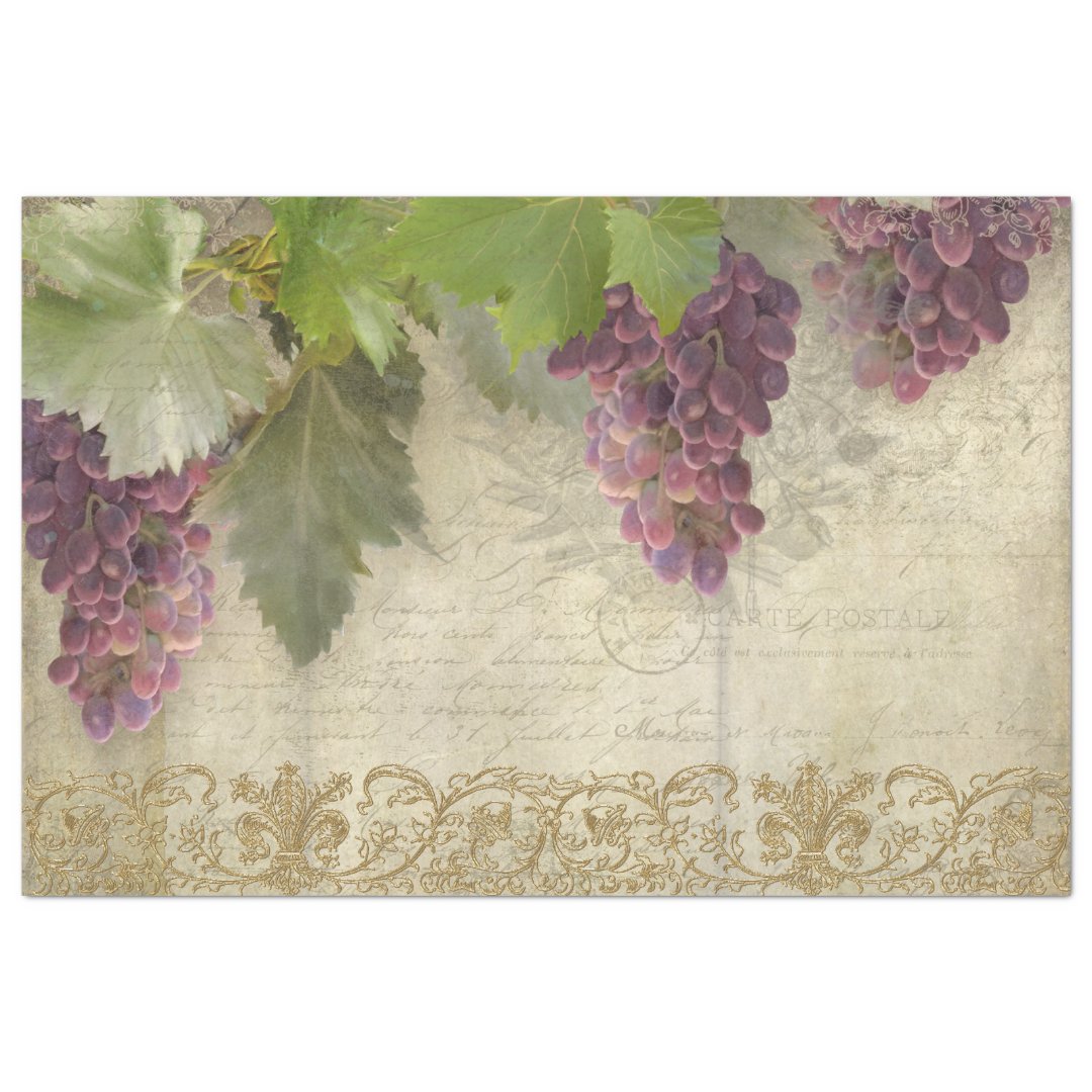 Vineyard Winery Wine Grapes Script Ephemera Tissue Paper | Zazzle