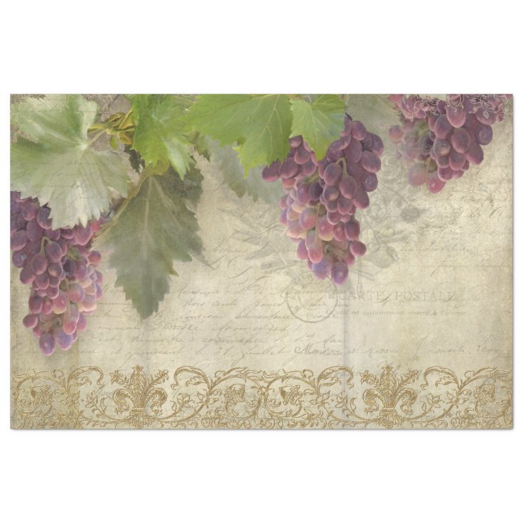 Vineyard Winery Wine Grapes Script Ephemera Tissue Paper | Zazzle