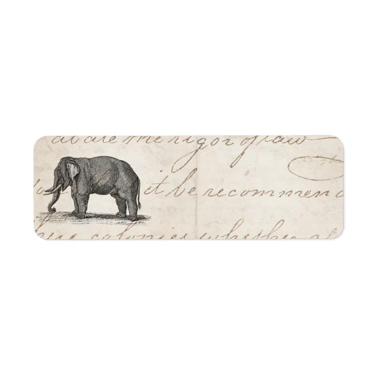 Vintage 1800s Elephant Illustration - Elephants Label | Zazzle