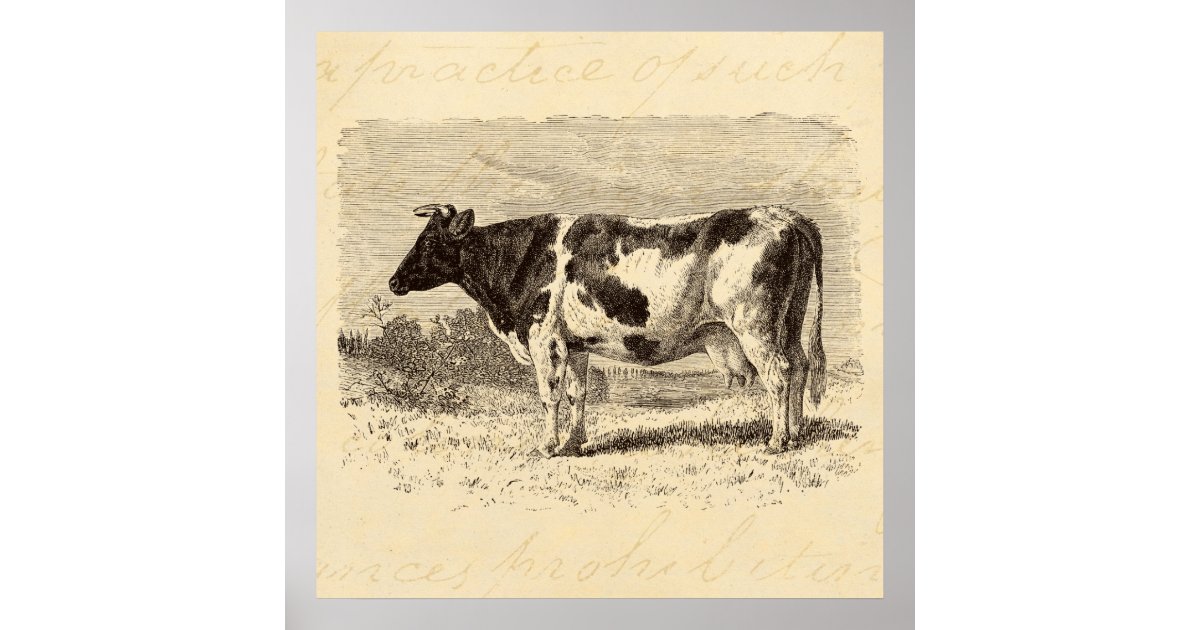 Vintage 1800s Large Dutch Cow Retro Cows Yellow Poster | Zazzle