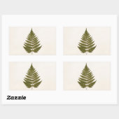 Vintage 1800s Olive Green Fern Leaf Template Rectangular Sticker | Zazzle