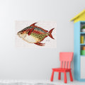Vintage 1800s Opah Tropical Sporting Fish Drawing Poster | Zazzle