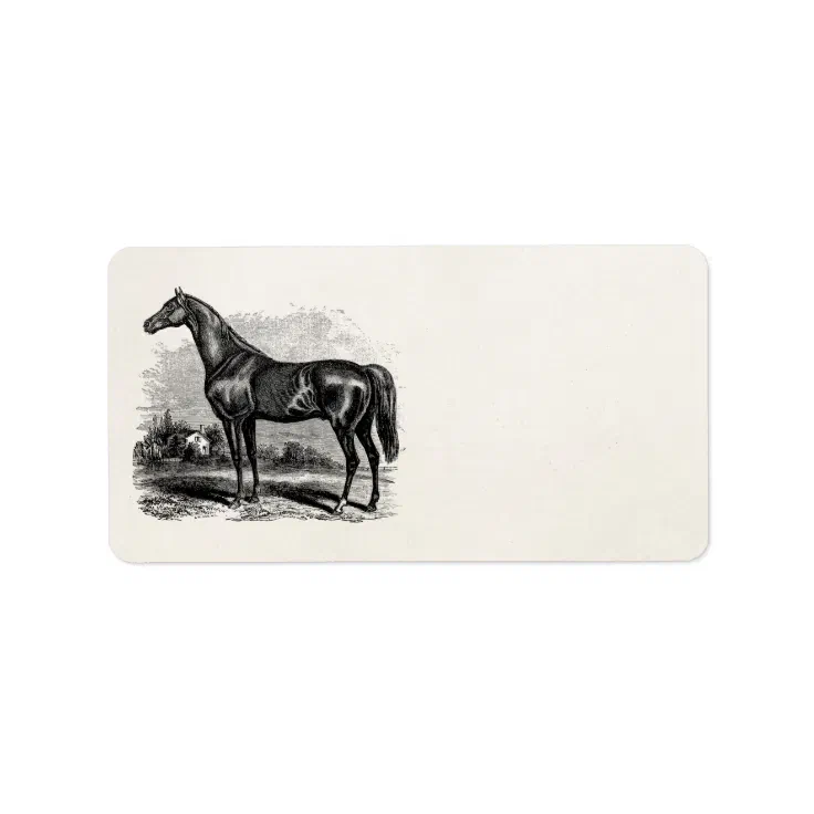 Vintage 1800s Race Horse Retro Thoroughbred Horses Label | Zazzle