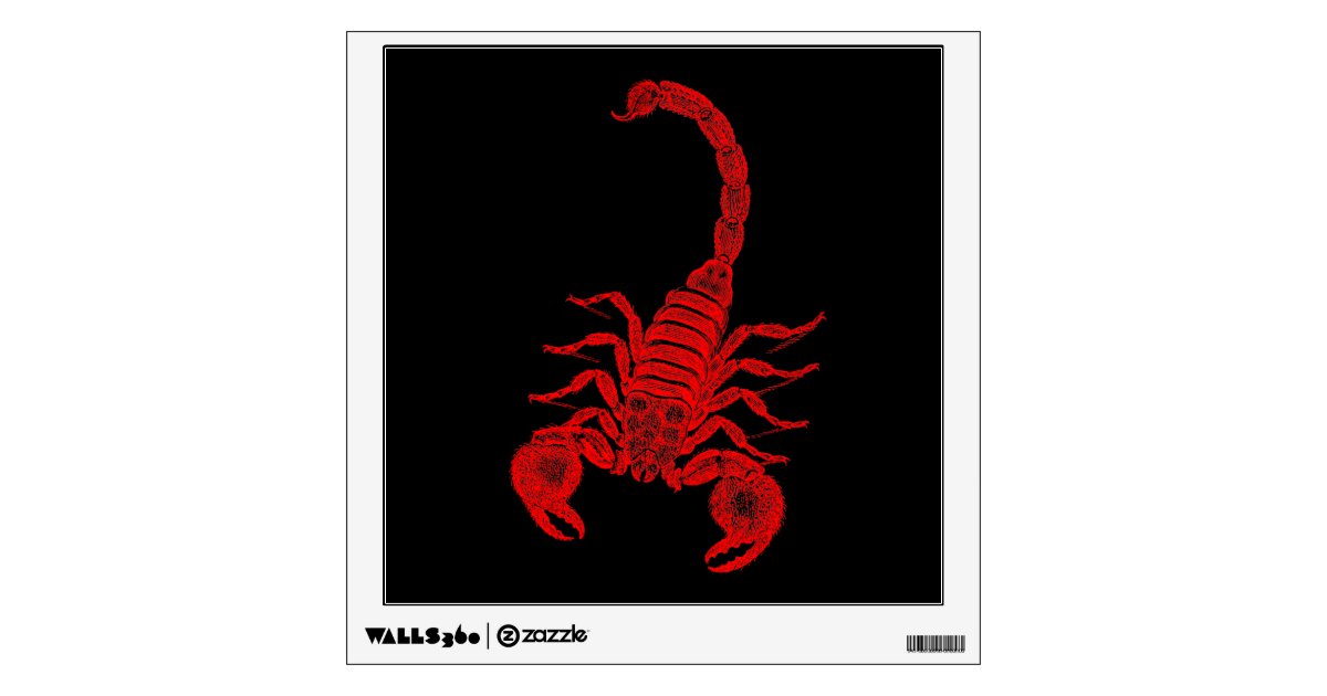 Vintage 1800s Scorpion Illustration Red Scorpions Wall Decal | Zazzle