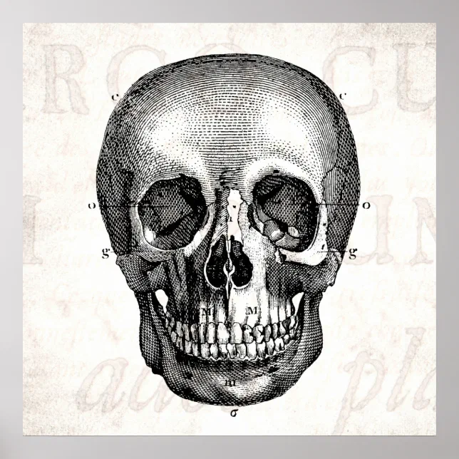 how to draw skull old school