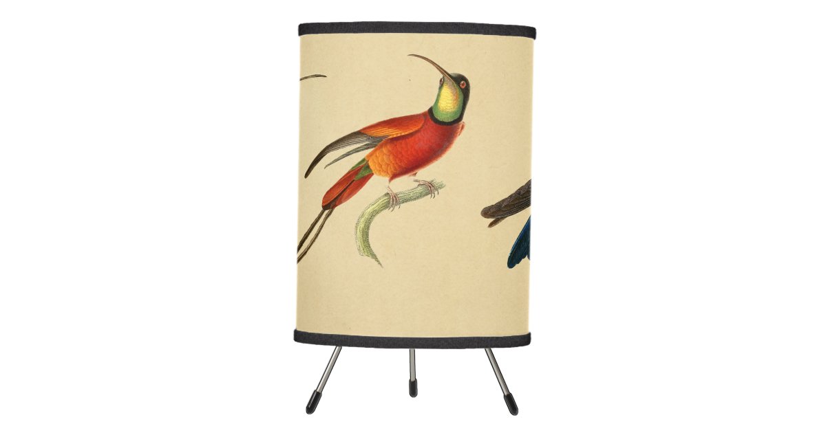 Vintage 1830 Hummingbird Lamp Shade | Zazzle