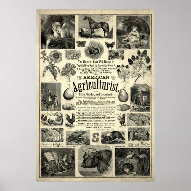 Vintage 1866 The American Agriculturist Poster | Zazzle