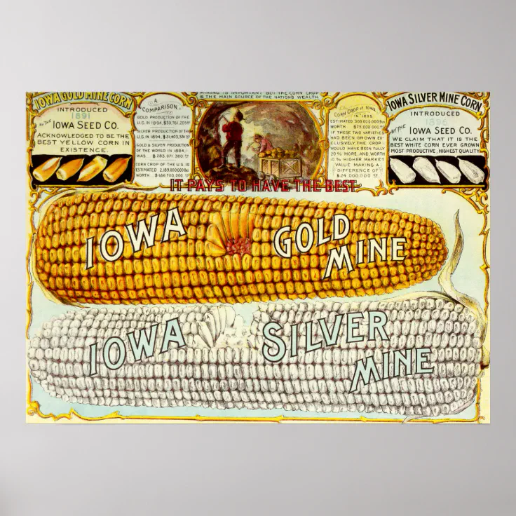 Vintage 1896 Iowa Corn Advertisement Poster | Zazzle