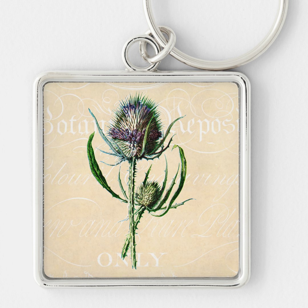 Vintage 1902 Scottish Thistle Antique Wildflower Keychain | Zazzle