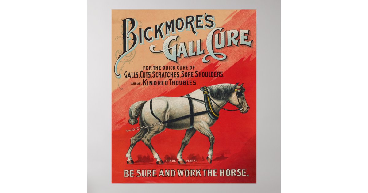 Vintage Ad For Bickmore's Gall Cure For Horses. Poster | Zazzle
