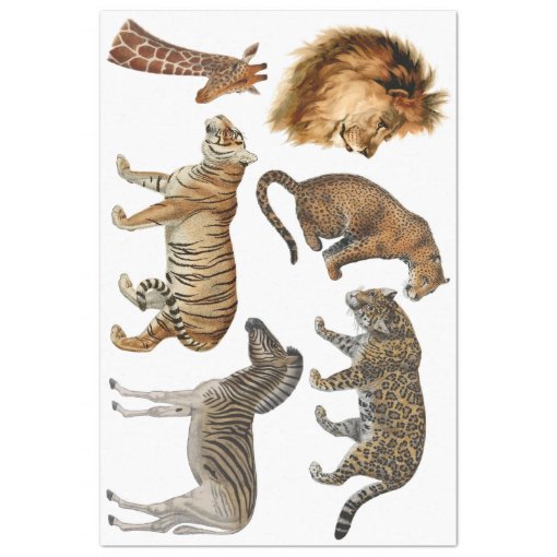 Vintage Africa Wild Animals Lion Leopard Decoupage Tissue Paper | Zazzle