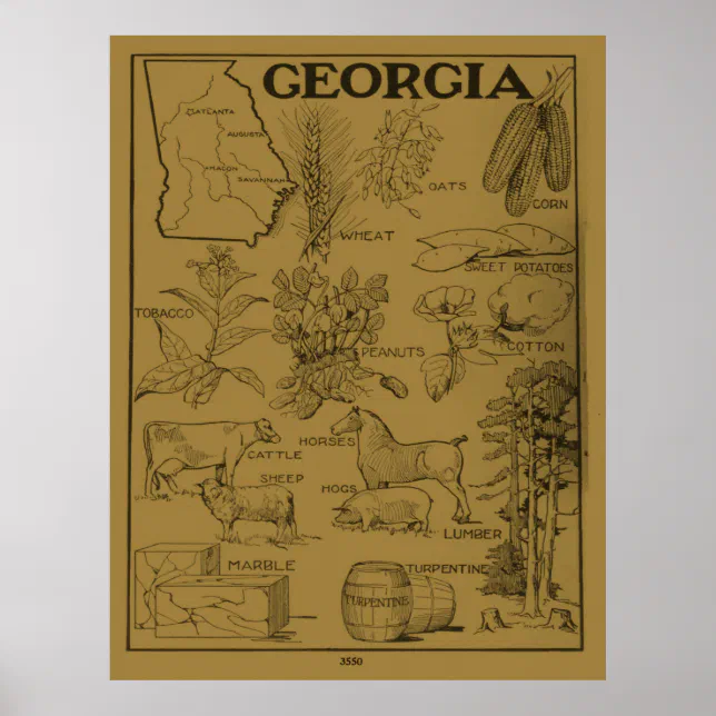 Vintage Agricultural Map of Georgia (1915) - Tan Poster | Zazzle