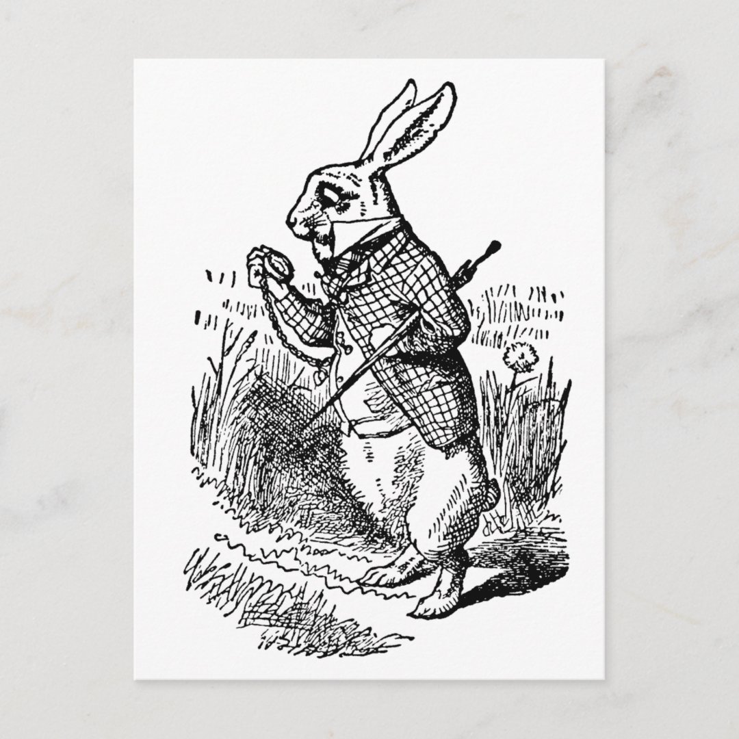 Vintage Alice in Wonderland the White Rabbit Watch Postcard | Zazzle