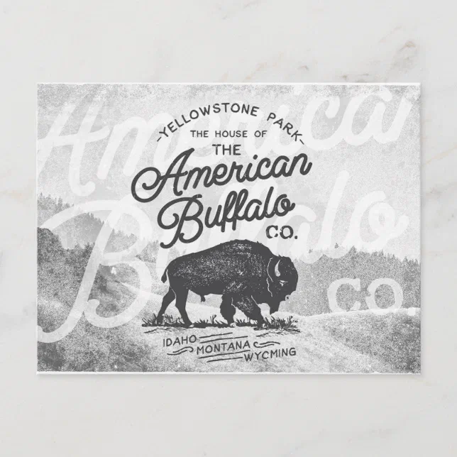 Vintage American Buffalo Montana Travel Postcard | Zazzle