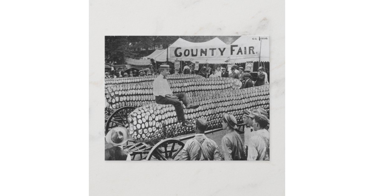 Vintage American County Fair Postcard | Zazzle