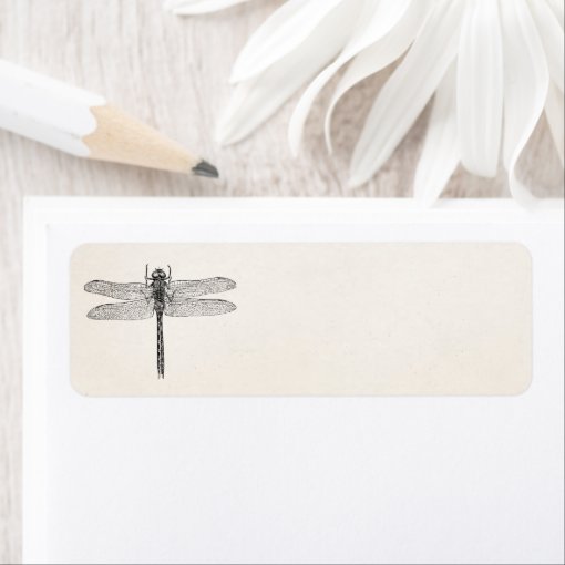 Vintage American Dragonfly Dragon Fly Template Label | Zazzle
