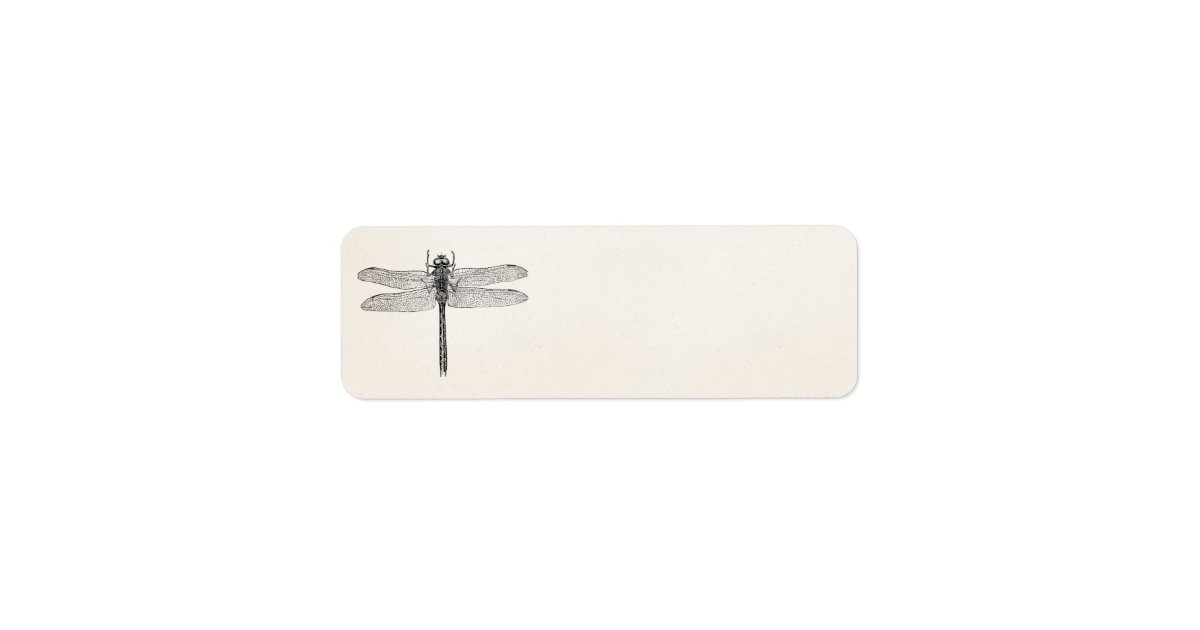 Vintage American Dragonfly Dragon Fly Template Label | Zazzle