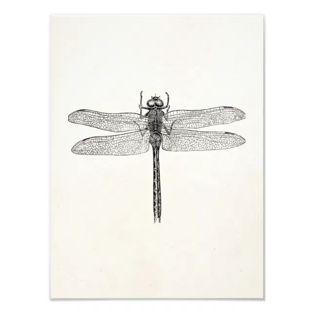 dragonfly template