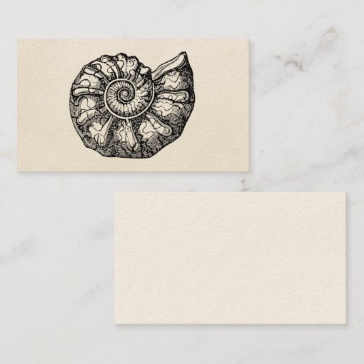 Vintage Ammonite Seashell Fossil Shell Template Business Card | Zazzle