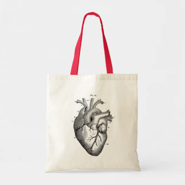 Vintage Anatomical Drawing Human Heart Tote Bag | Zazzle