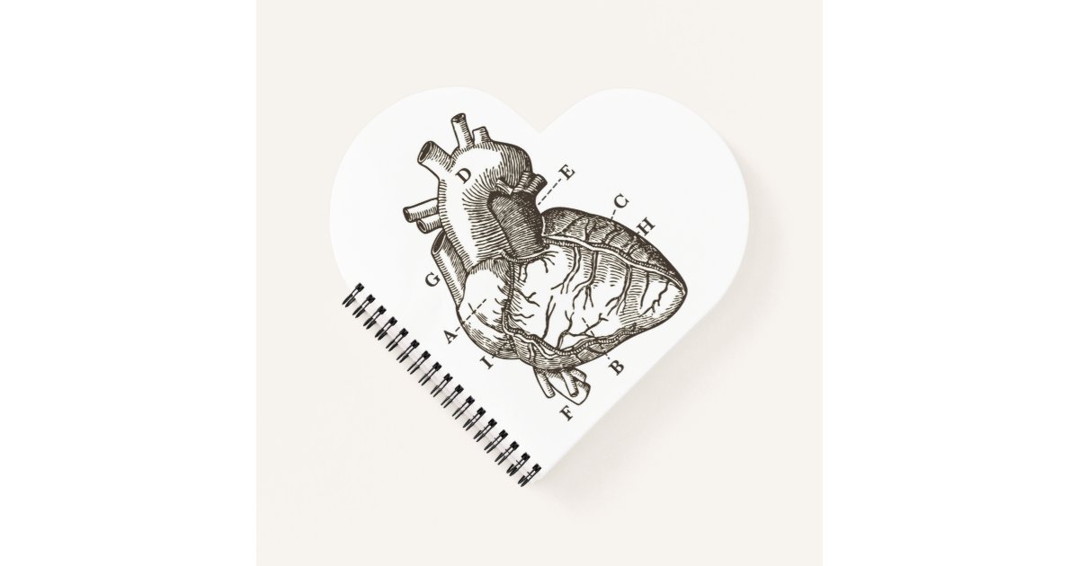 Vintage Anatomical Heart Drawing Heart Shaped Notebook | Zazzle