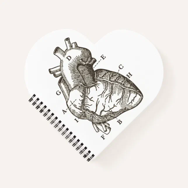 Vintage Anatomical Heart Drawing Heart Shaped Notebook | Zazzle