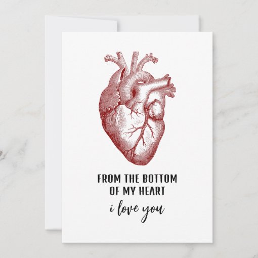 Vintage Anatomical Heart Valentine's Day Card | Zazzle