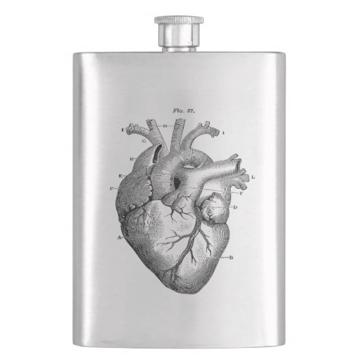 Vintage Anatomical Human Heart Classic Flask | Zazzle Vintage Anatomical Human Heart Classic Flask | Zazzle