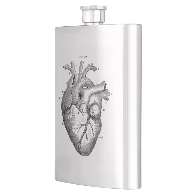 Vintage Anatomical Human Heart Classic Flask | Zazzle Vintage Anatomical Human Heart Classic Flask | Zazzle