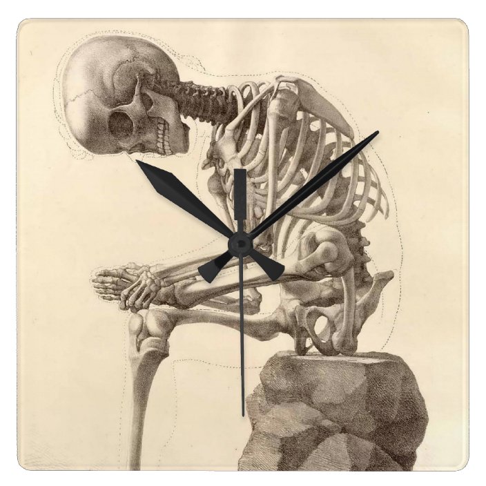 Vintage Anatomical Skeleton Clock | Zazzle.com