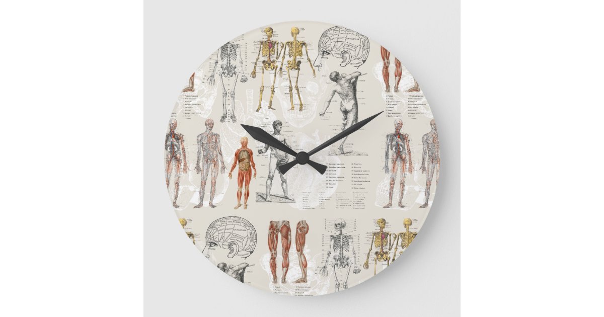 Vintage Anatomy Biology Illustrations Large Clock | Zazzle
