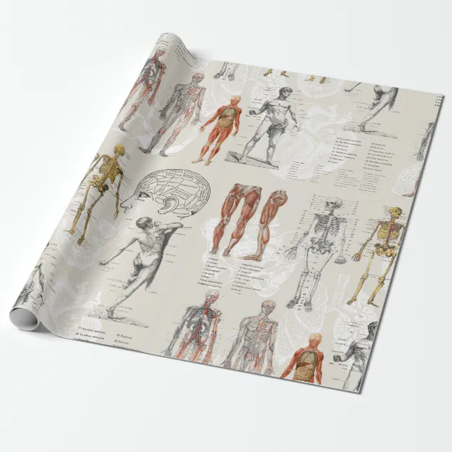 Vintage Anatomy Biology Illustrations Wrapping Paper | Zazzle