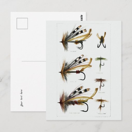 Vintage Angler Fly Fishing Lures Postcard | Zazzle