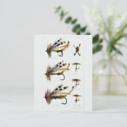 Vintage Angler Fly Fishing Lures Postcard | Zazzle