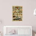 Vintage Animal Art French Wall Art Poster | Zazzle
