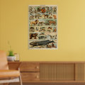 Vintage Animal Art French Wall Art Poster | Zazzle