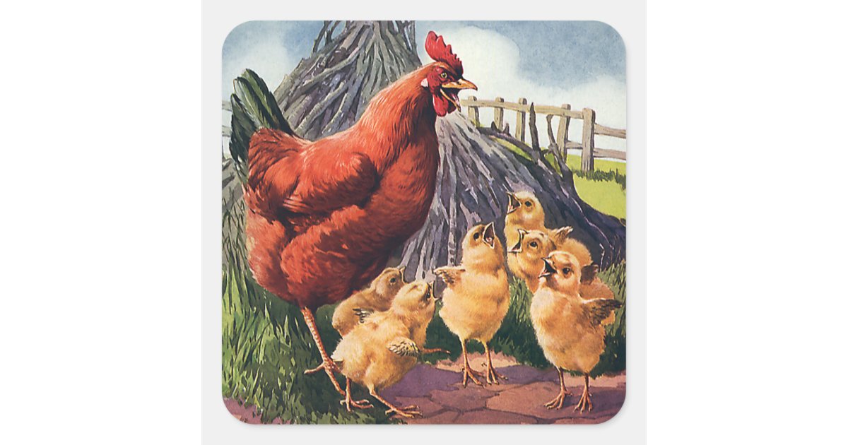 Vintage Animals, Chicken with Baby Chicks on Farm Square Sticker | Zazzle